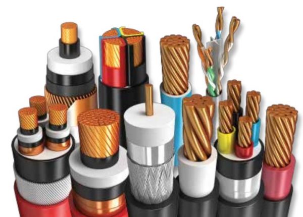 Cabo Shield - MD Policabos